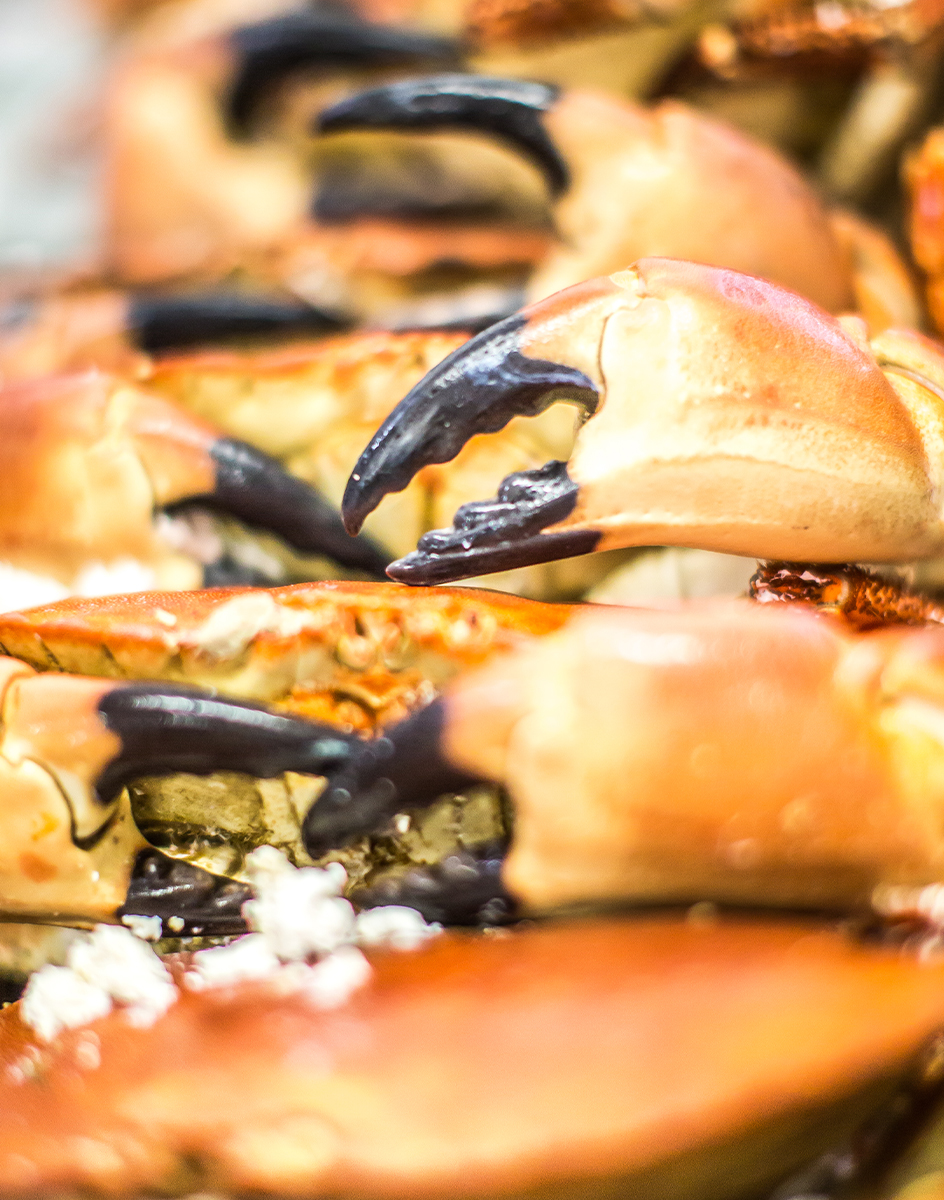 Seafood Processing | High quality hand picked crabmeat